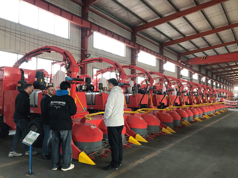 We Warmly Welcome Our Distinguished Guests and Discuss a New Chapter of ...