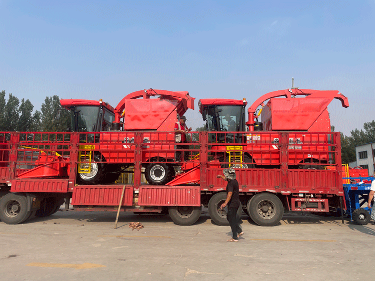 Senrui Silage Machine Delivers Efficiently To Help With A Good Harvest ...
